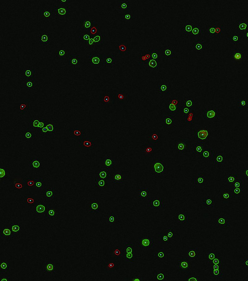 CellDrop Cell Counters DeNovix - Bonsai Lab
