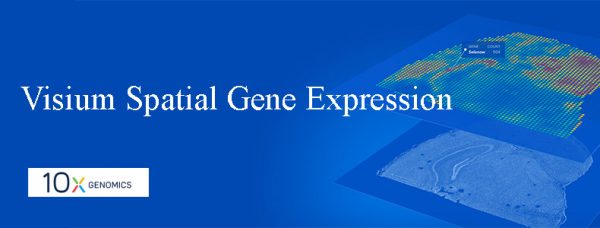 Visium Spatial Gene Expression - 10x Genomics - Bonsai Lab