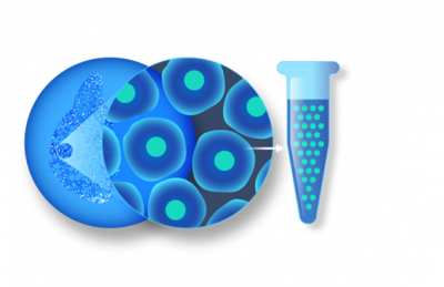 Expresion genética a nivel de célula única - Bonsai Lab