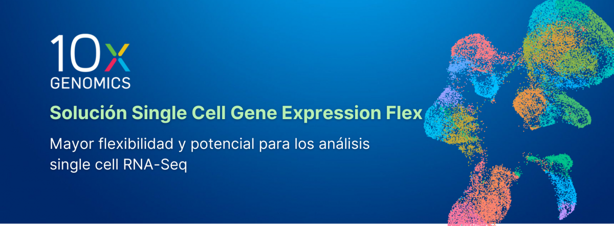 Chromium Single Cell Gene Expression Flex - Bonsai Lab